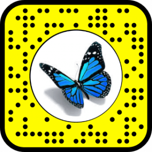 Snapchat Butterfly Lens Feature: What Is It? How To Use On Android, iOS?