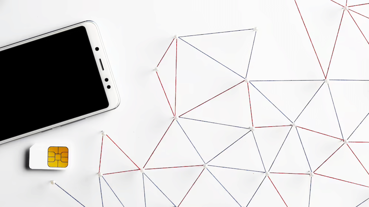 How To Check Number Of Sim Cards Registered On Your Name And ID: