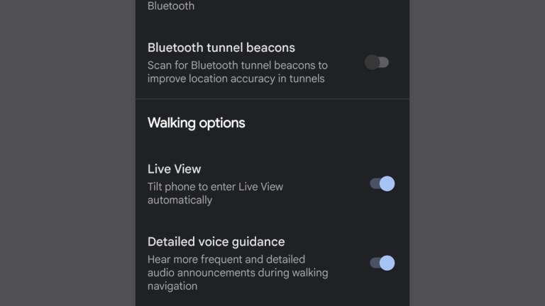 Google Maps Detailed Voice Navigation: What It Is & How to Use It on Android and iPhone